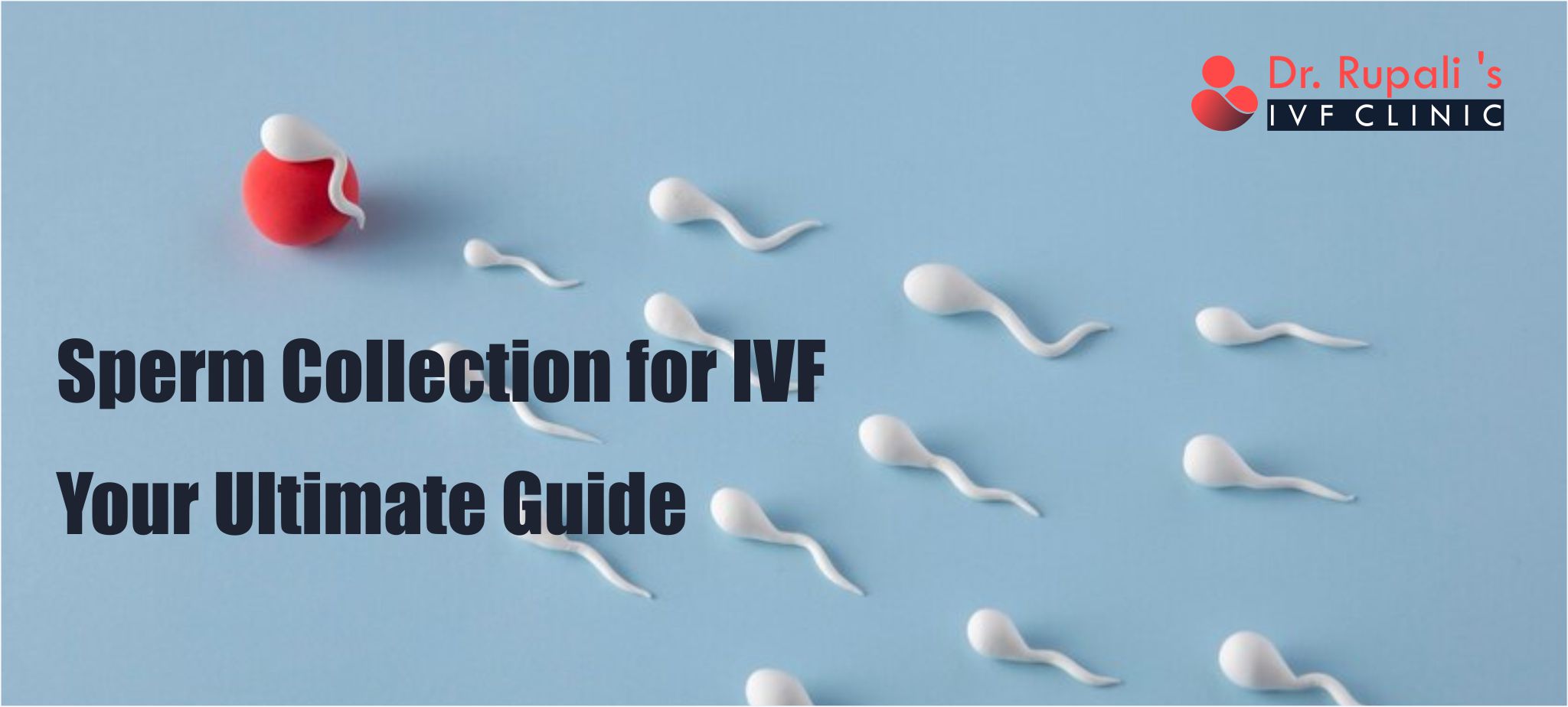 Sperm Collection For Ivf Your Ultimate Guide Best Ivf Clinic