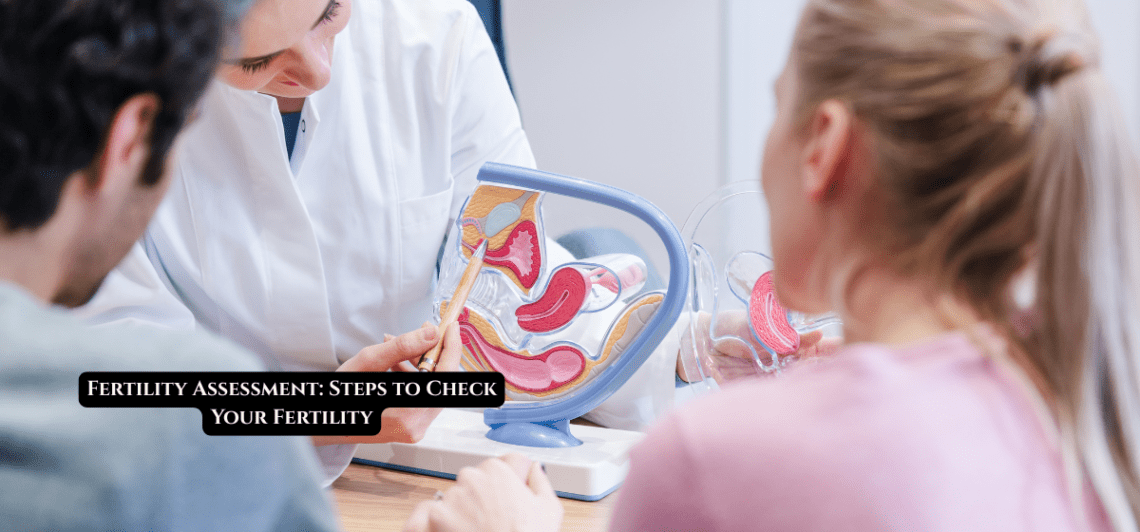Fertility Assessment: Steps to Check Your Fertility
